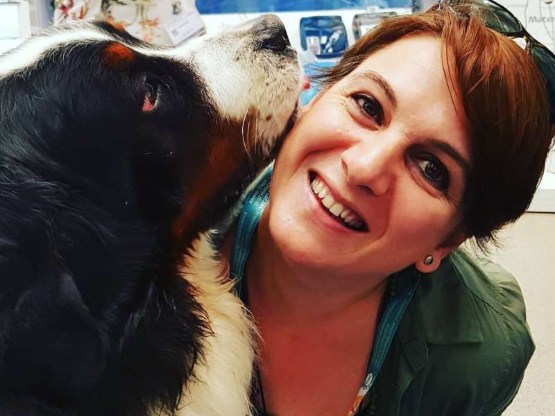 Köpeklerin Yiyebileceği İnsan Yiyecekleri - Türkiye'nin Yeni Kadın Moda ...